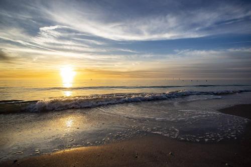 5 - Silver Sands - Oasis - Treasure Island, FL