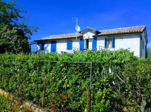 Authentic Istrian Apartments Villa Zambratija - Salvore
