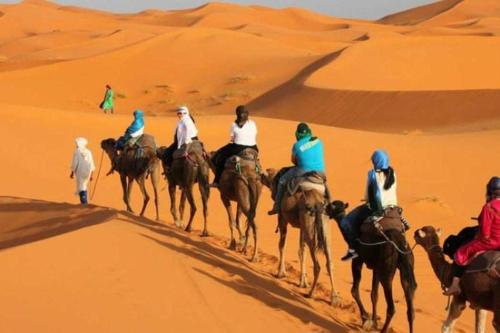 Erg Chebbi Dream Camp - Merzouga