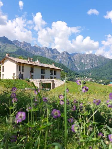 La Casa Di Maia - Alloggio Agrituristico - Pedavena