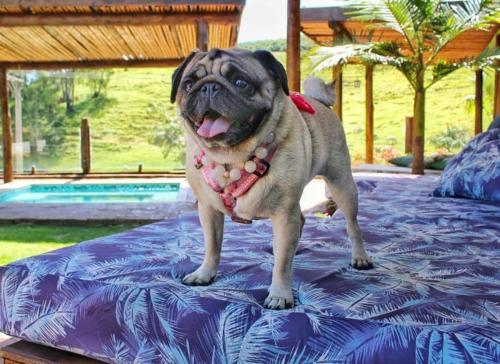 Villa Aye Socorro Sp - Pousada Petfriendly - Socorro