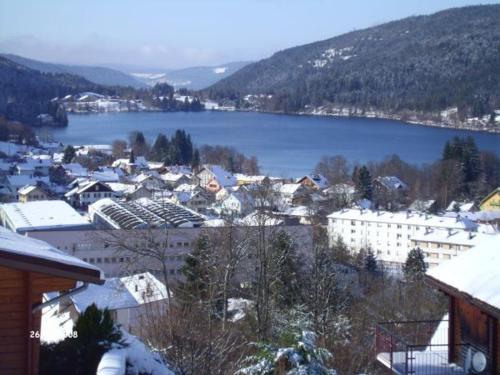 Chambre Cosy Avec Salle D'eau Privee Proche Pistes Et Lac - Gerardmer - Fr-1-589-704 - Gérardmer