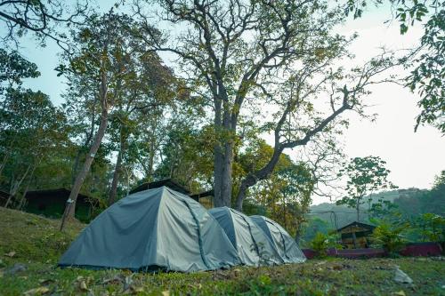 Dandeli River Valley Resort - Dandeli
