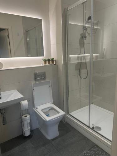 Modern-spacious Dublin Apartment - Dublin