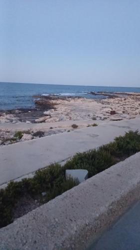 Maltese Sunshine - Malta