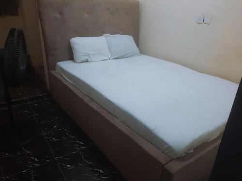 Crown Dove - Benin City