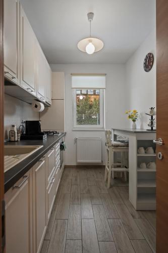 Amazing Apartament With Garden Bucharest Airport Self Check-in!! - Otopeni