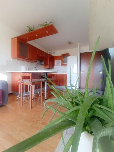 Elena's Apartment - Pordenone