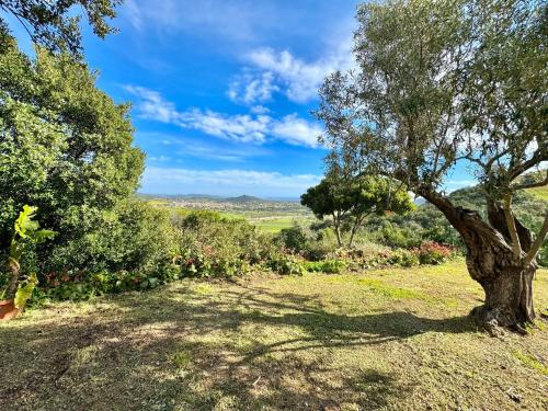 Country Guest House - Cardedu