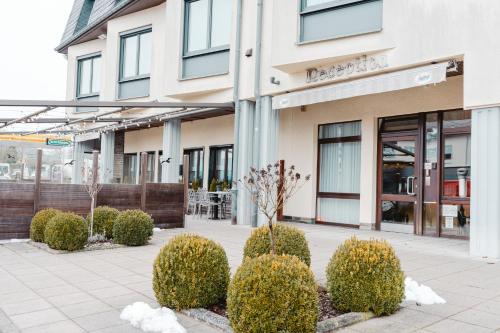 Hotel Casa56 - Clervaux