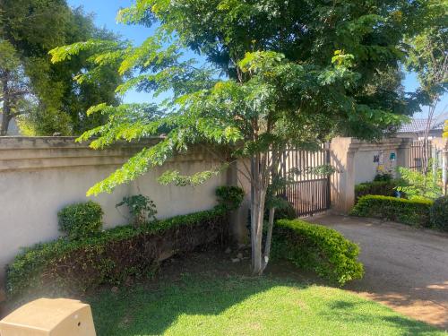 Nsuku M Guesthouse - Johannesburg South