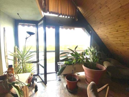 Spacious Residence For Exhibitors & Business Teams - Colonia