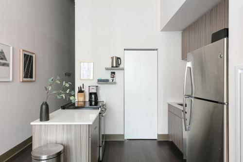Mich Ave Downtown Penthouse - Rooftop Plus Gym #8 - Chicago, IL