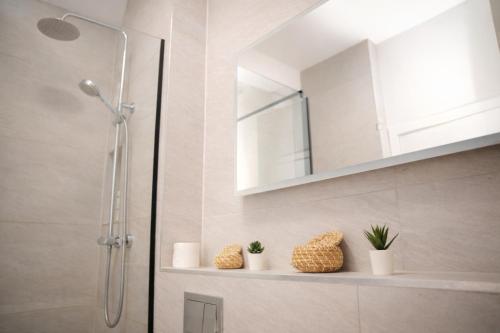 Lovely Spacious Apartment In Temple Bar - South Dublin