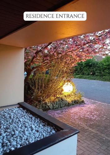 2 Soundproof Fully Equipped Studios Near Geneva Airport - Ferney-Voltaire