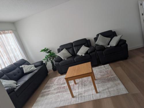 Brand New Affordable 3 Bedroom Suite - Saskatchewan