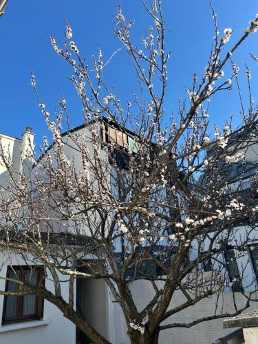 Studio 22m2 Renove Sur Cour Privee - ibis budget Issy Les Moulineaux Paris Ouest