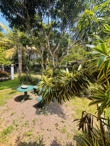 Hiru Villa - Bentota