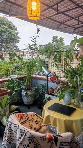 Green Balcony Homestay Melaka - マラッカ