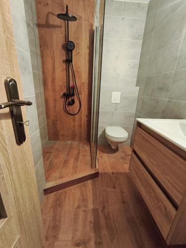 Central Apartman Tatabanya - Tata