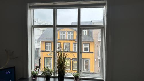 The Viking S Haven - Heart Of Downtown - Reykjavik