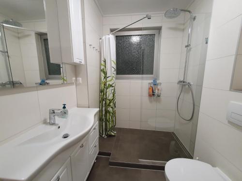 Exklusives & Ruhiges Zimmer An Der Uni Mainz - Mainz