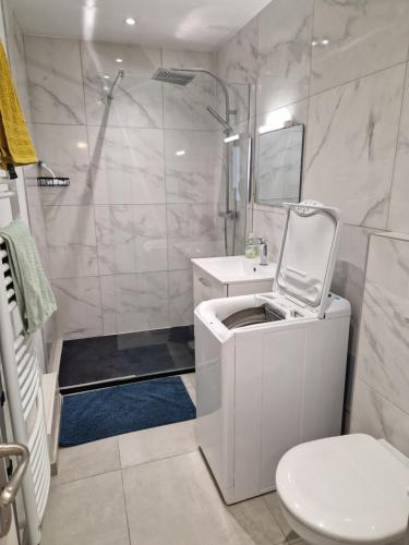 Studio Avec Cuisine Separee Tout Proche De La Gare - Annemasse