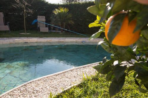 Guest H4u Villa Garden & Pool - Póvoa de Varzim