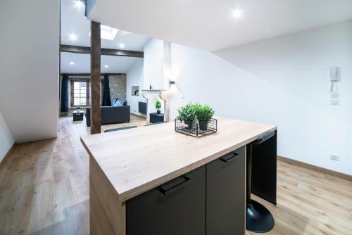 Myappart71- Loft - Centre Ville - Mâcon