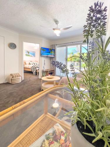 Chevron Island Boutique Retreat Near Beach & Pool - Surfers Paradise