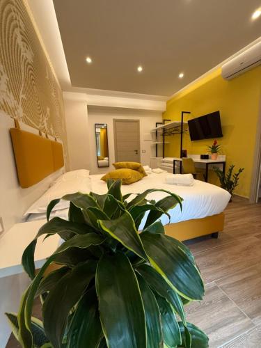 B&b Il Sogno In Colori - Foggia