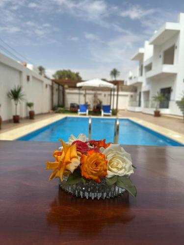 Malak House Swimming Pool &Garden - Luxor