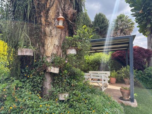 Double Bedroom In Mt. Pleasant Heights - 2378 - Harare