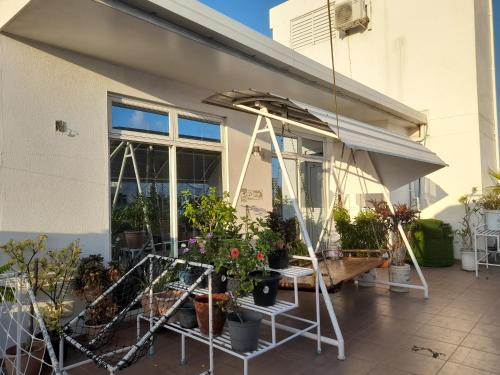 Terrace Garden Homestay - Malé