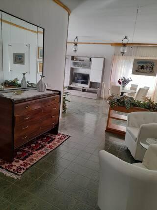 L'angolo Verde - Civitavecchia