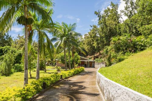 Le Domaine De St Francois - Jardin Luxuriant - Saint-Denis