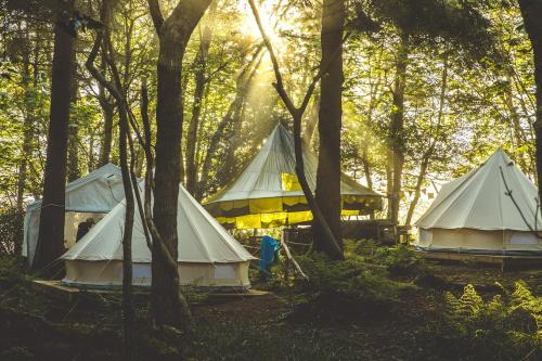 Exclusive Woodland Camp, Cornwall - Cornwall