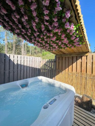 Kaoglen-spruce-hot Tub-forrest Setting-pet Friendly - Aberdeenshire