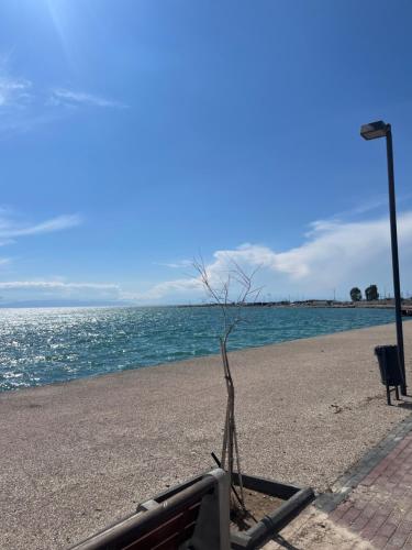 Megalou Alexandrou - Halkidiki