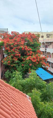 Truffles - Penthouse Terrace Bedroom - Vijayawada