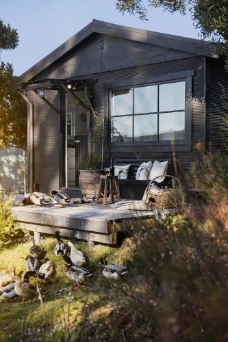 Bushy Summers - A Nurturing Bayside Shack - Strahan