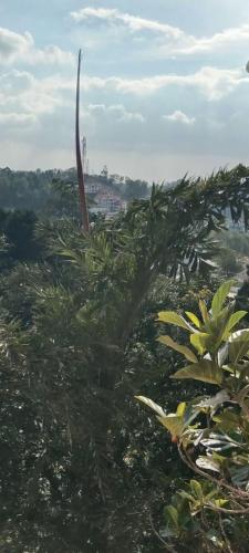 Town View Garden - Yercaud