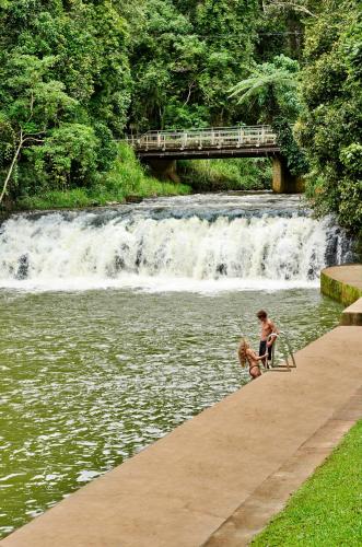 Malanda Falls Retreat - Malanda