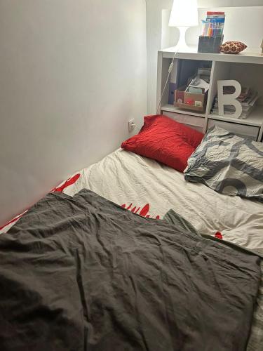 Petite Belle Chambre A Bruxelles Midi - Brussels