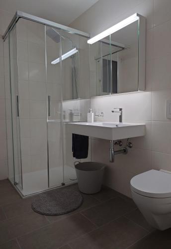 Cozy Apartment Near Zurich - Zürich