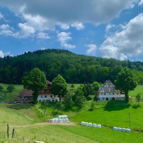 Suschethof - Oppenau, Deutschland