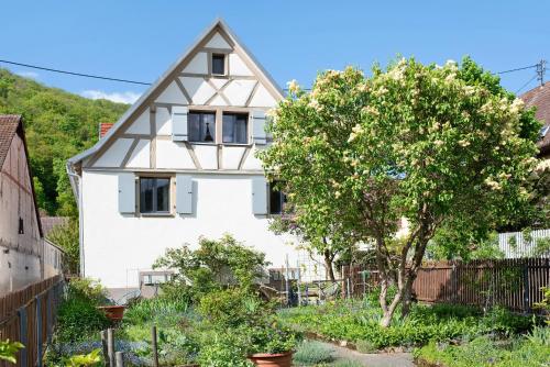 Ferienhaus Hildahusli - Badenweiler