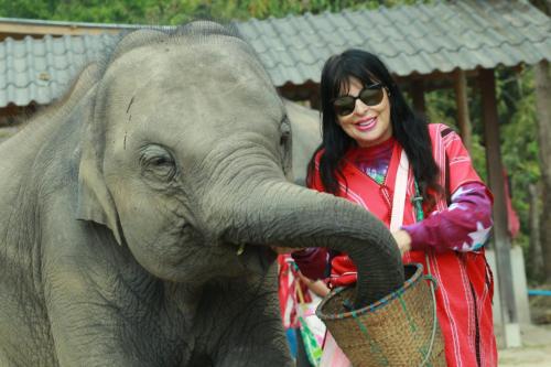 Elephant Jungle Eco Stay Chiang Mai - Chiang Mai