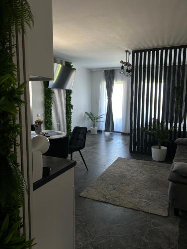 Summer Studio - Costinești