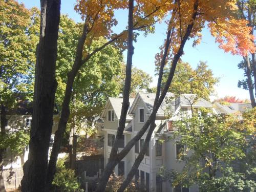 Harvard Square Home In Heart Of Cambridge - Cambridge, MA